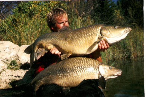 Karper soorten en rassen! Wat is het verschil?